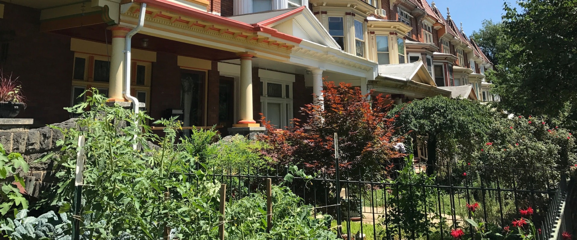 The Fascinating Tale of Baltimore's 'Charm City'